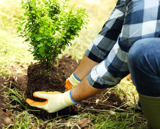 7 Smart Ways to Spend Your Tax Return on Your Home